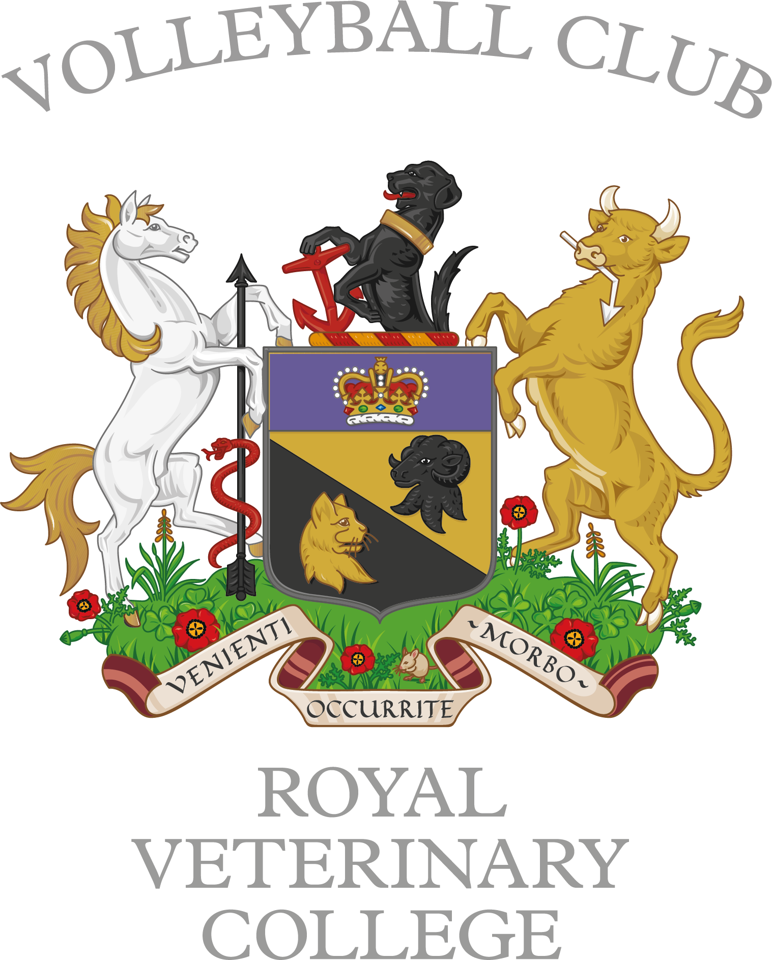 RVC Volleyball Club – AM Sports Store